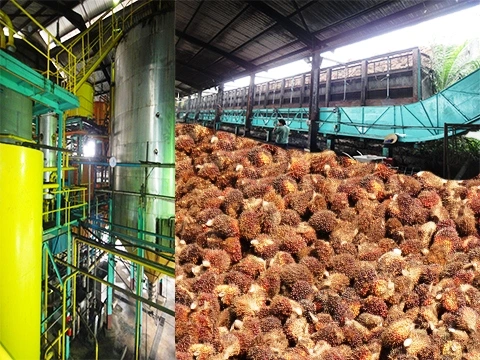 Mecpro Heavy Engineering Limited